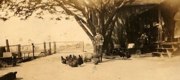 History – City of Loxley